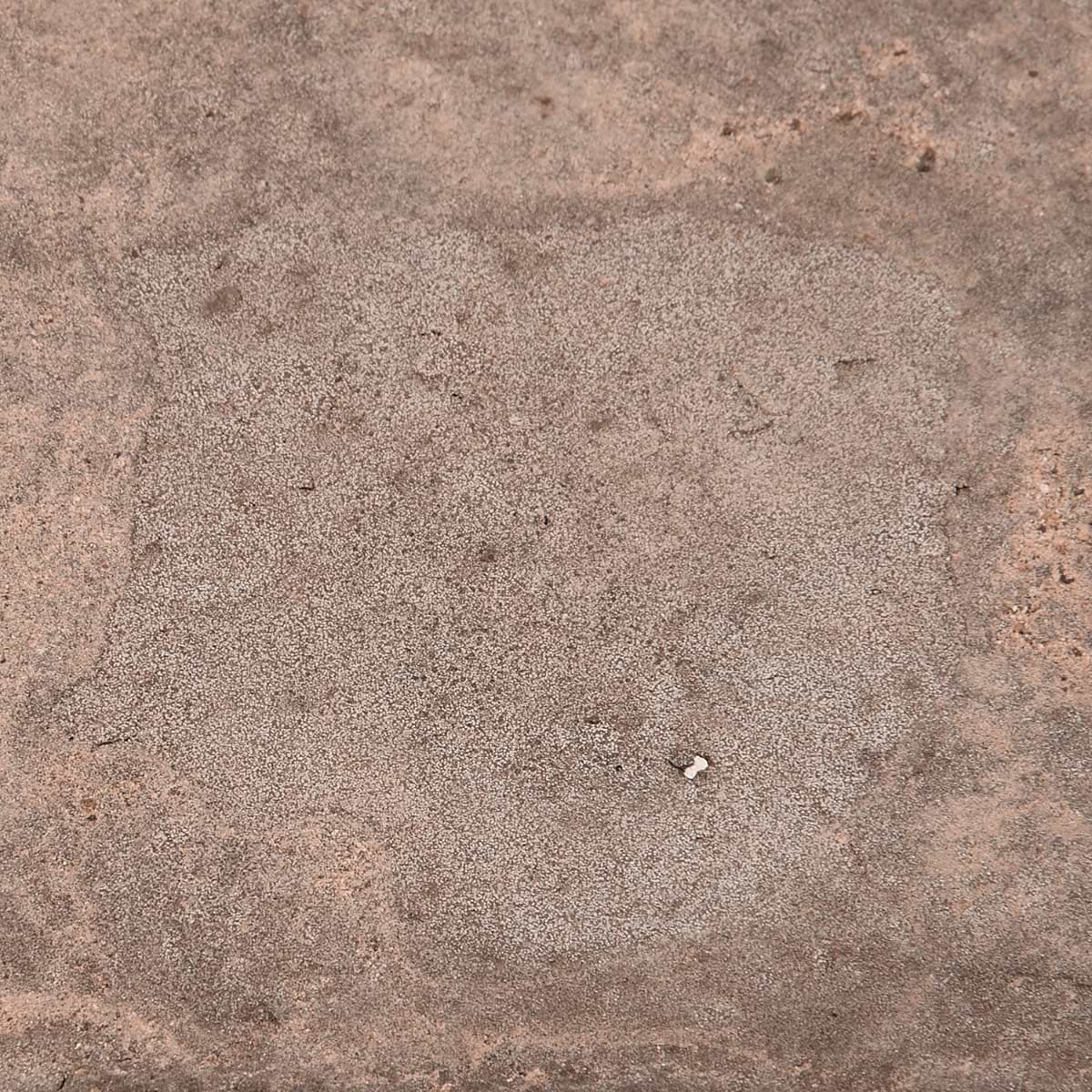 Shop Clay House Gray 6" Triangle Matte Terracotta at sohostudiocorp.com
