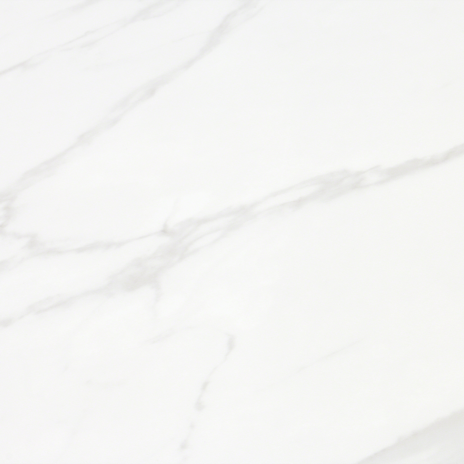 Shop Everyday Marble Bianco 12x24 Matte at sohostudiocorp.com