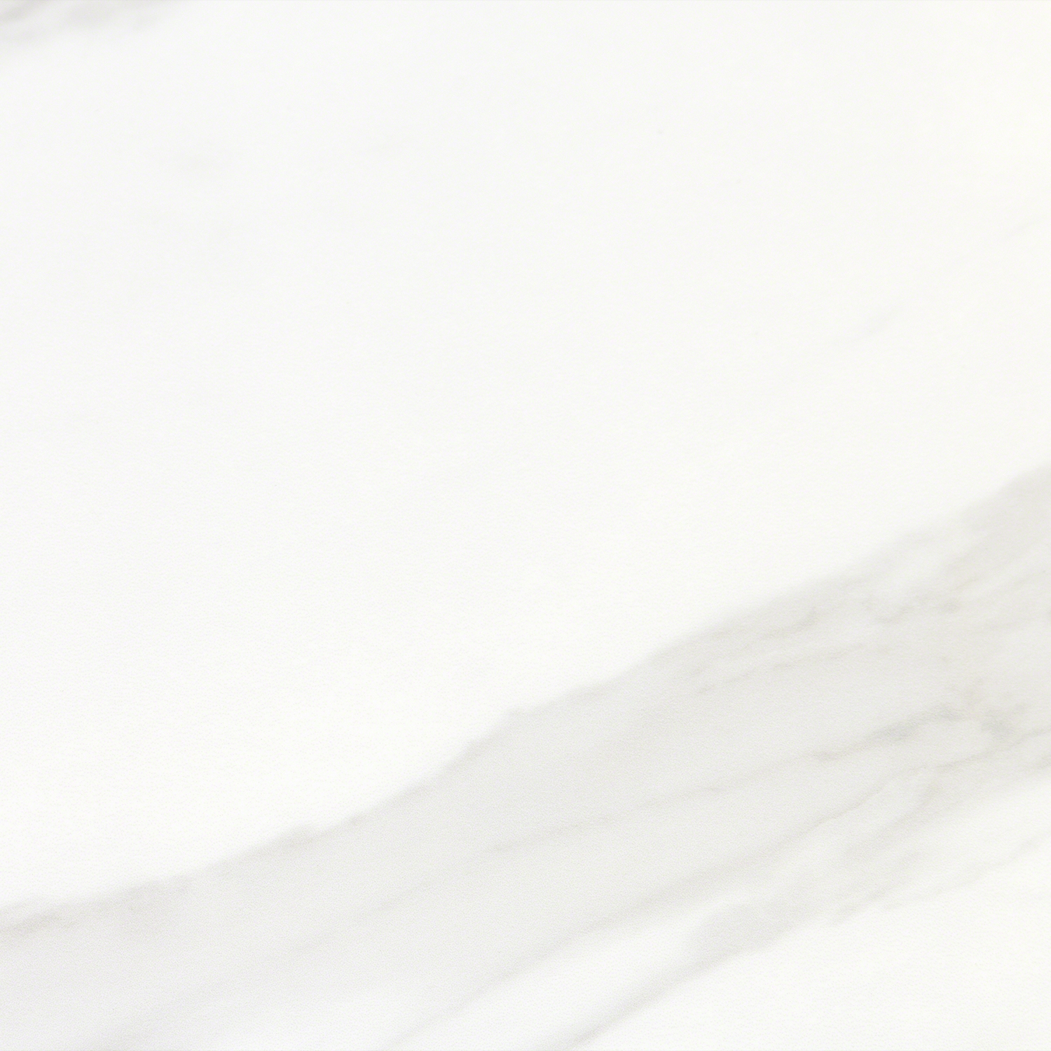 Shop Everyday Marble Bianco 12x24 Matte at sohostudiocorp.com