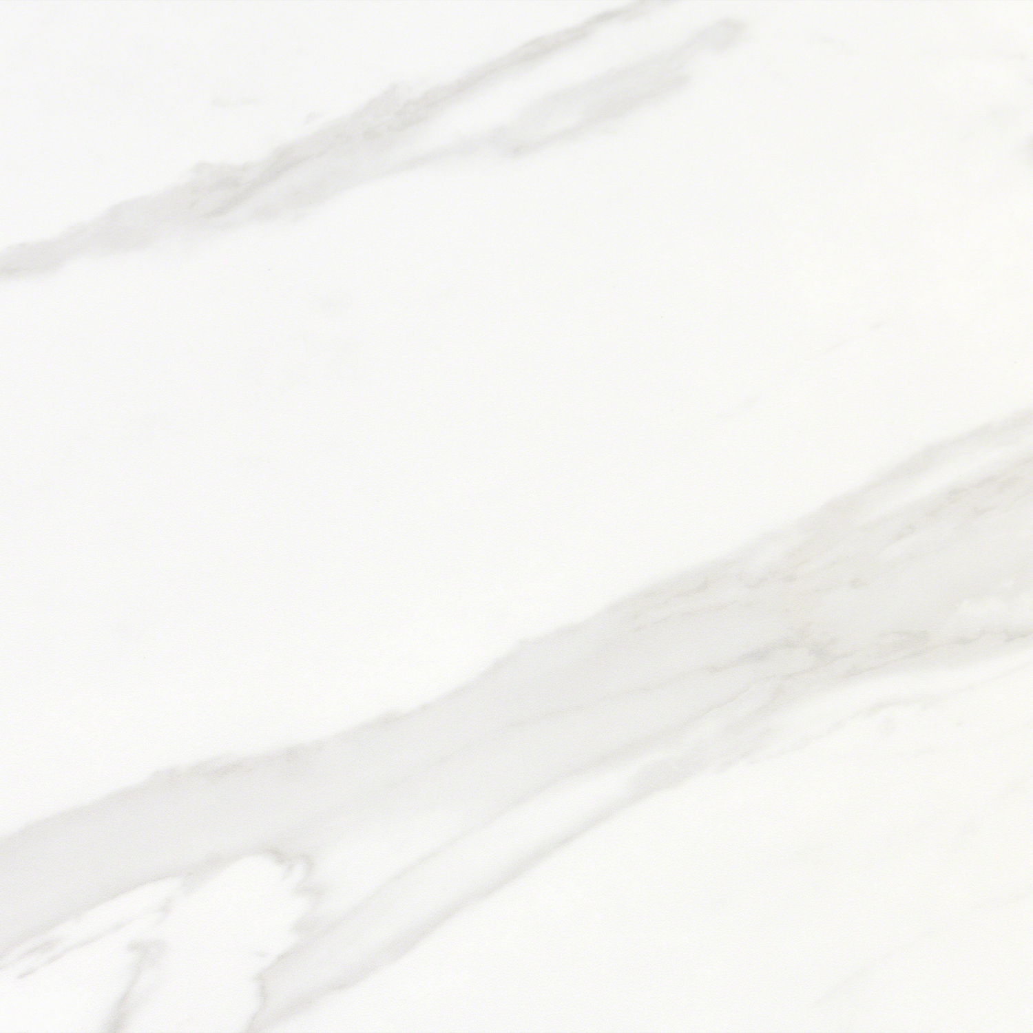 Shop Everyday Marble Bianco 12x24 Matte at sohostudiocorp.com