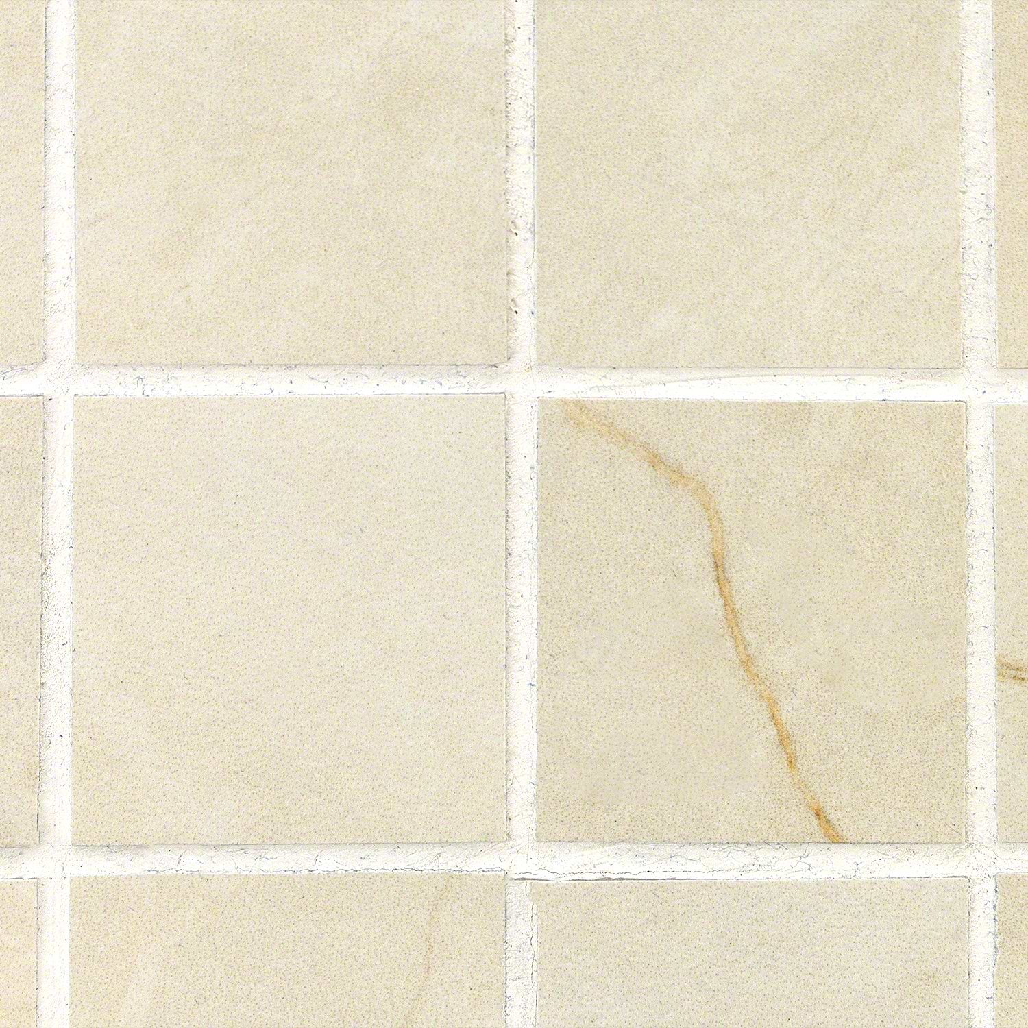 Shop Marmi D'Italia Crema Avorio 2x2 Matte | SohoStudioCorp.com