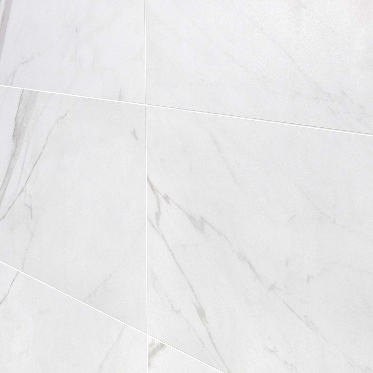Shop Everyday Marble Bianco 12x24 Matte at sohostudiocorp.com