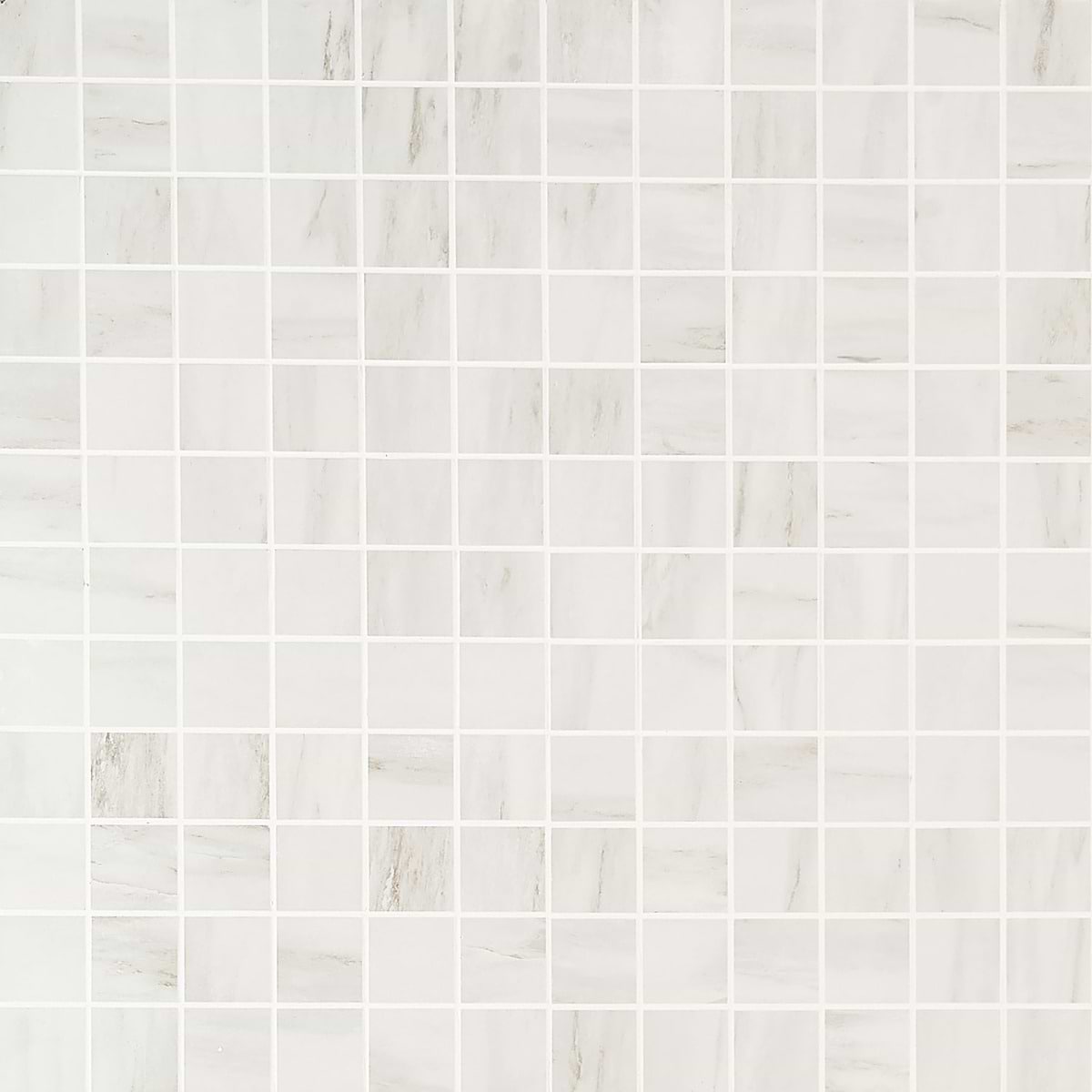Shop Lithe Dolomite Snow 2x2 Matte | SohoStudioCorp.com