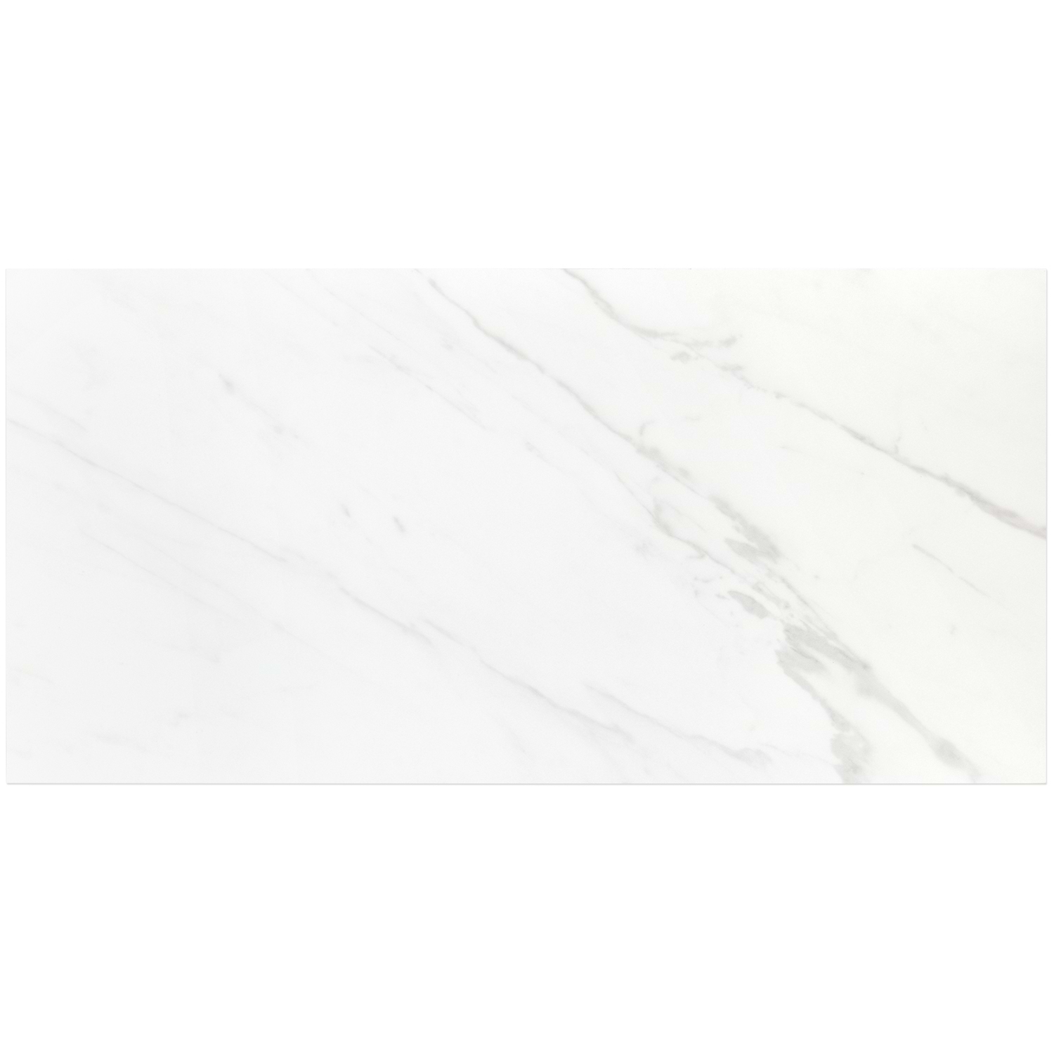 Shop Everyday Marble Bianco 12x24 Matte at sohostudiocorp.com
