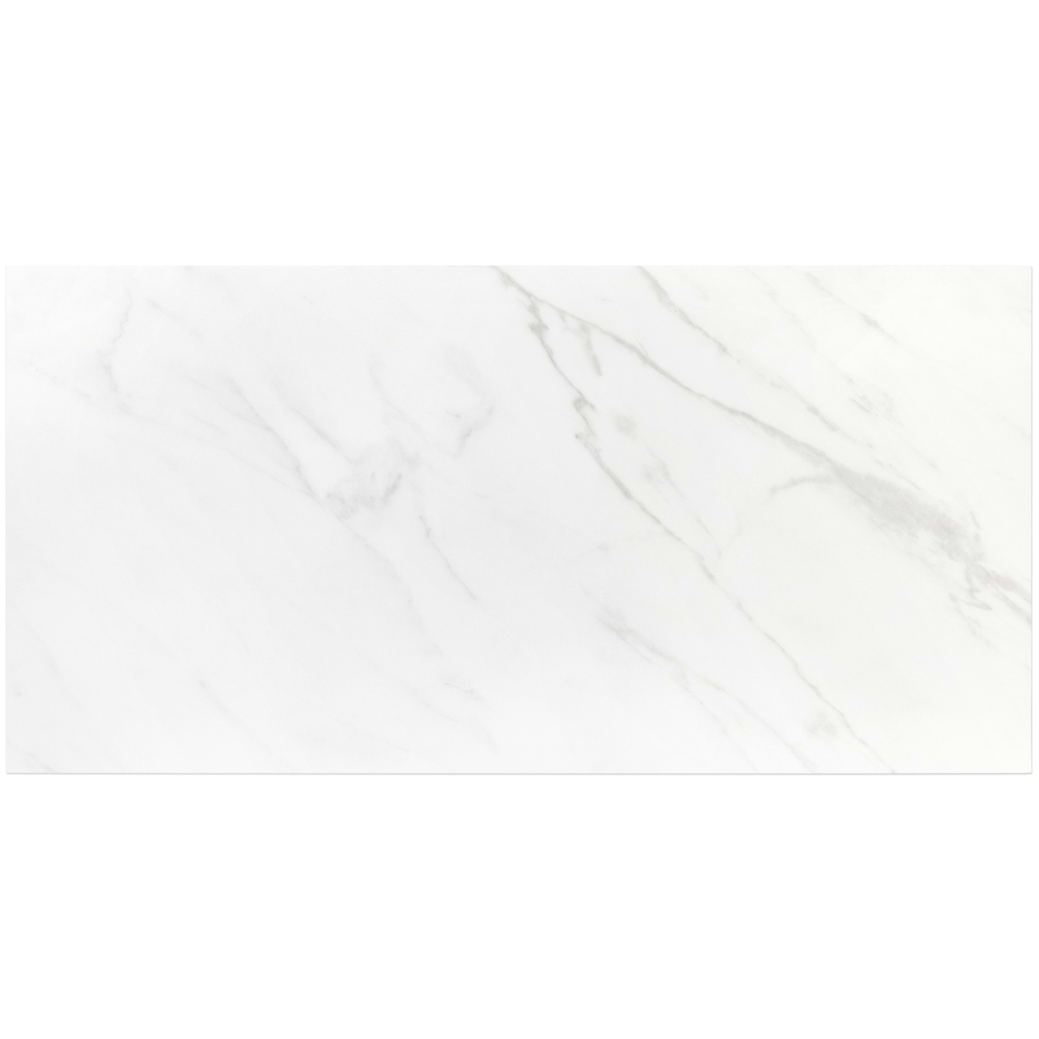 Shop Everyday Marble Bianco 12x24 Matte at sohostudiocorp.com
