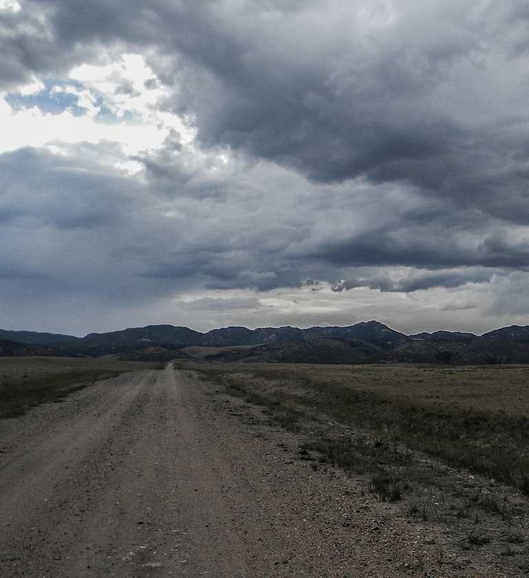 Liquid Feed vs. Molasses Tubs vs. Pressed Blocks: Which Is Best For You ...