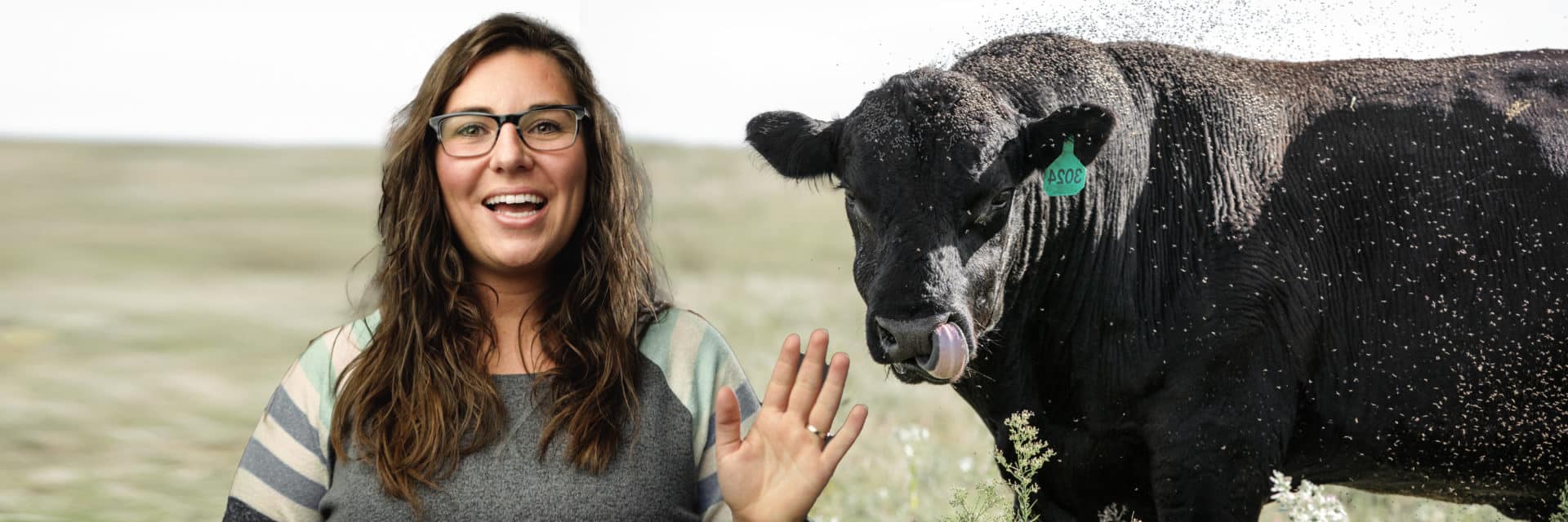 Cattle Breeding, Grazing & Fly Control Archives - Riomax® 360