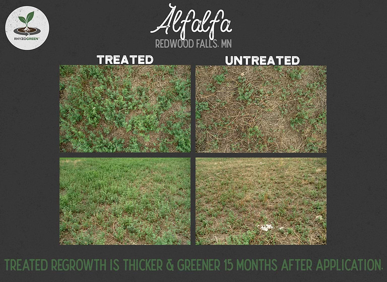 About Us - Riomax® 360