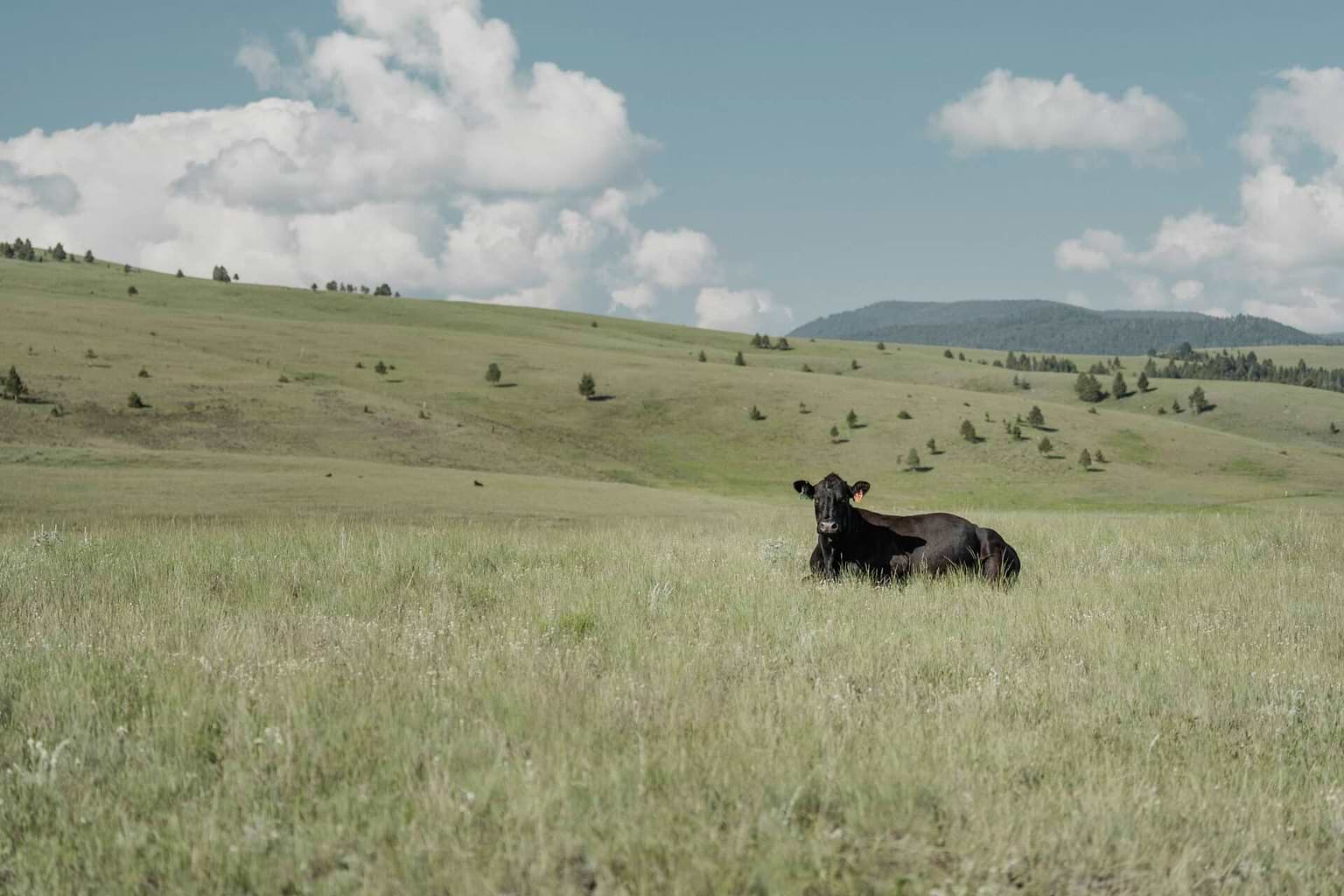 Riomax User Guide - Riomax® 360