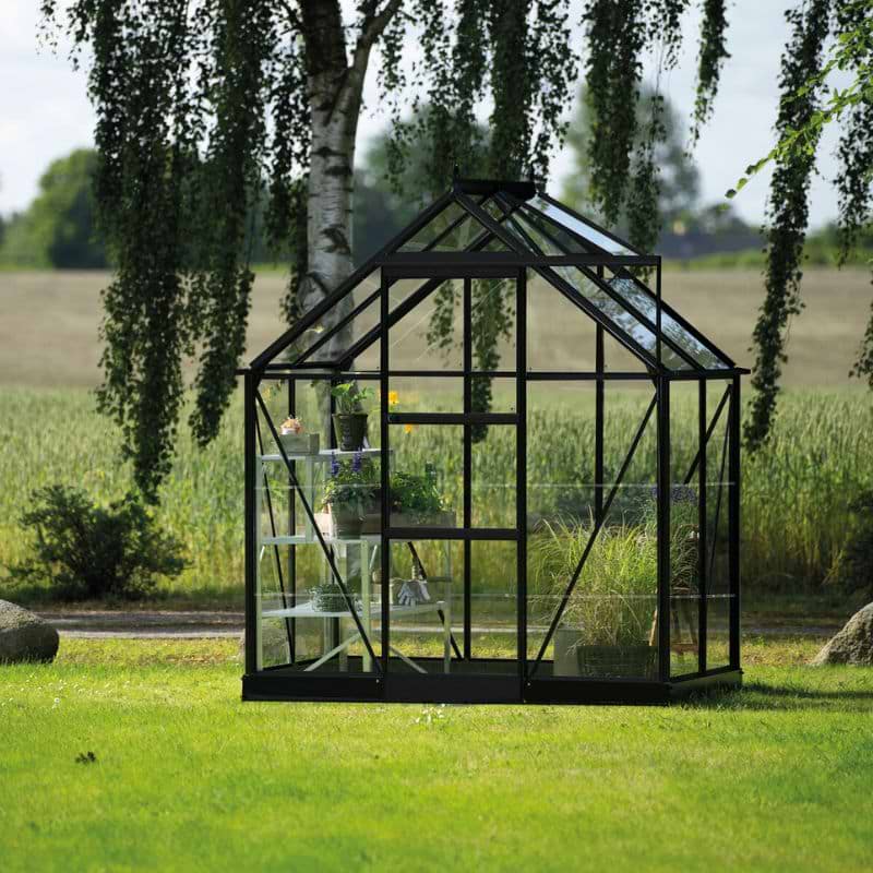 Halls Icon 6 drivhus - Sort m/3 mm glas - Flere varianter