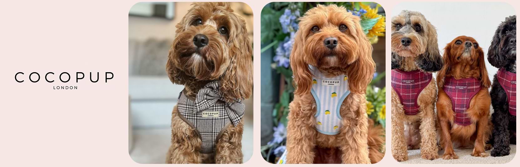 Cocopup London | Stylish Pet Accessories & Dog Wear | Griggs