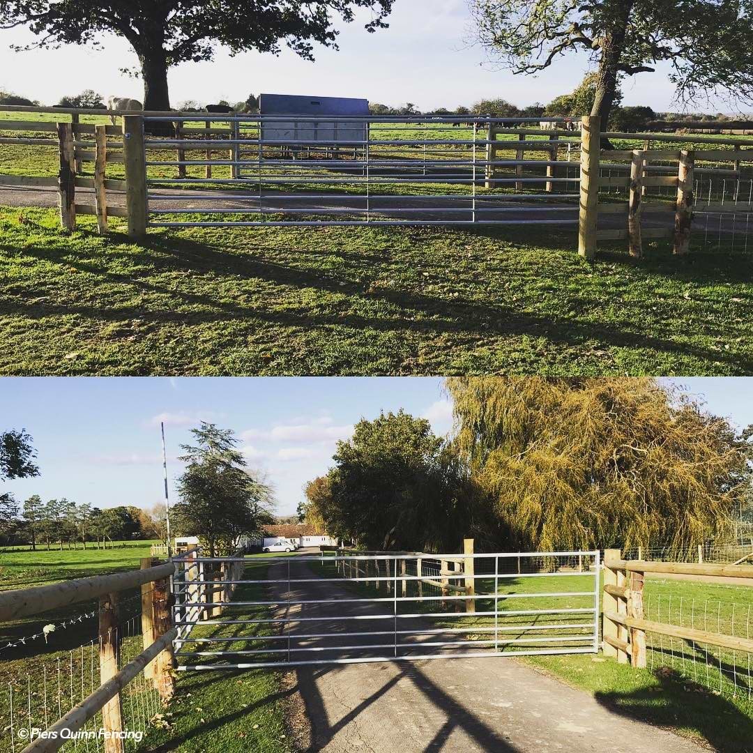 Ritchie Galvanised Field Gate | Griggs Agri