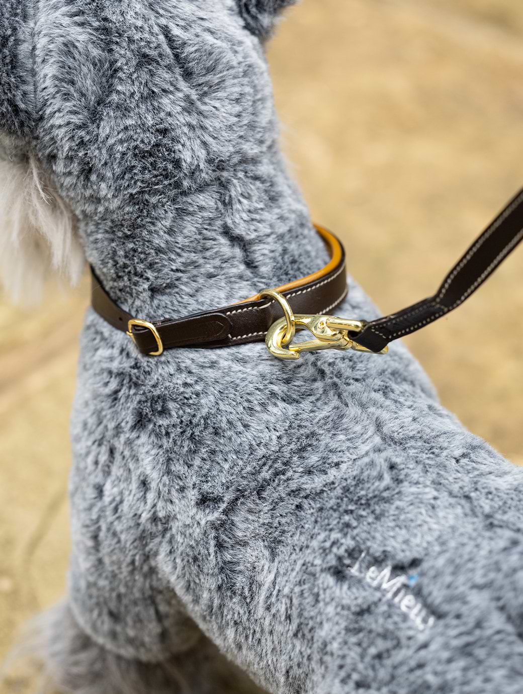 Toy dog collar and lead store