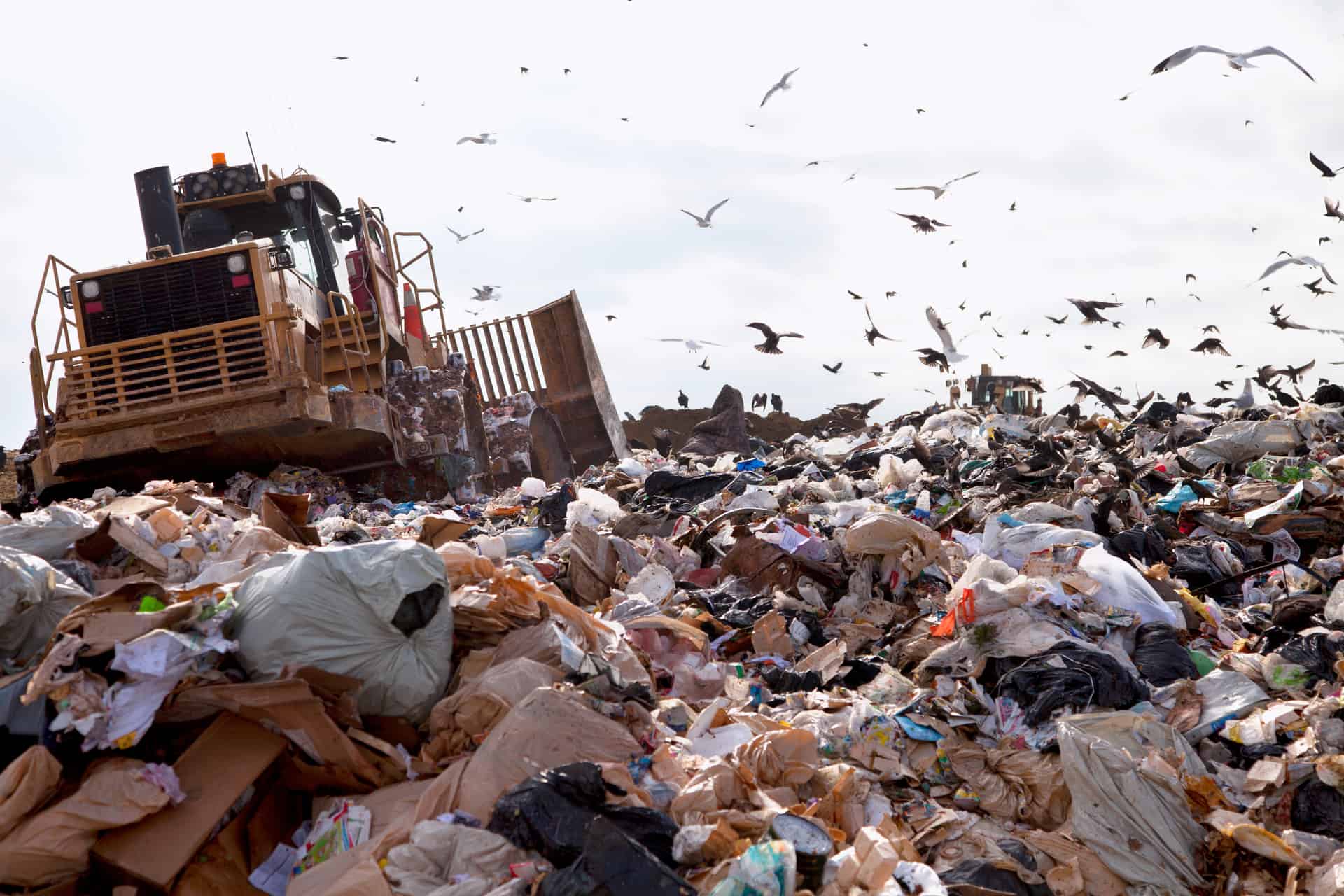 What is Plant-Based Plastic and How it Works | TIPA