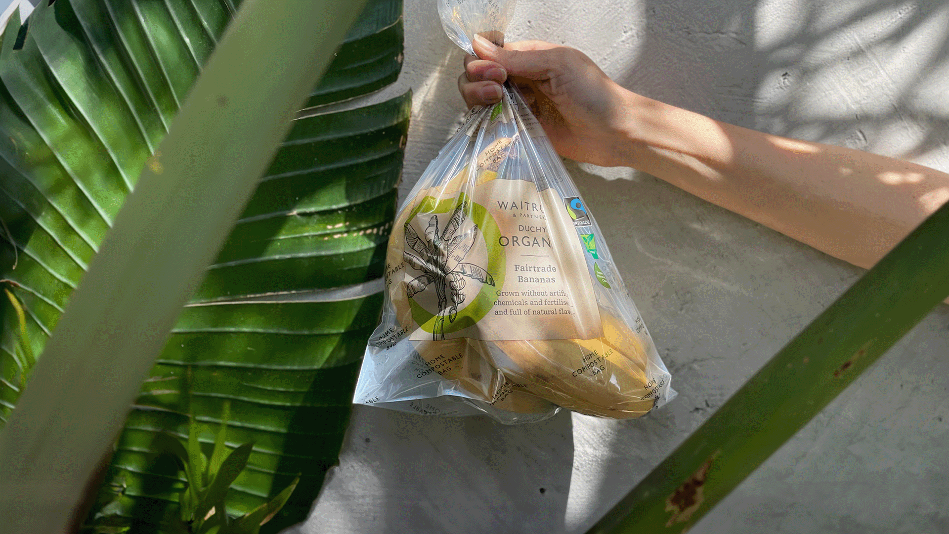 Our Portfolio - Eco-Friendly, Compostable Packaging | TIPA