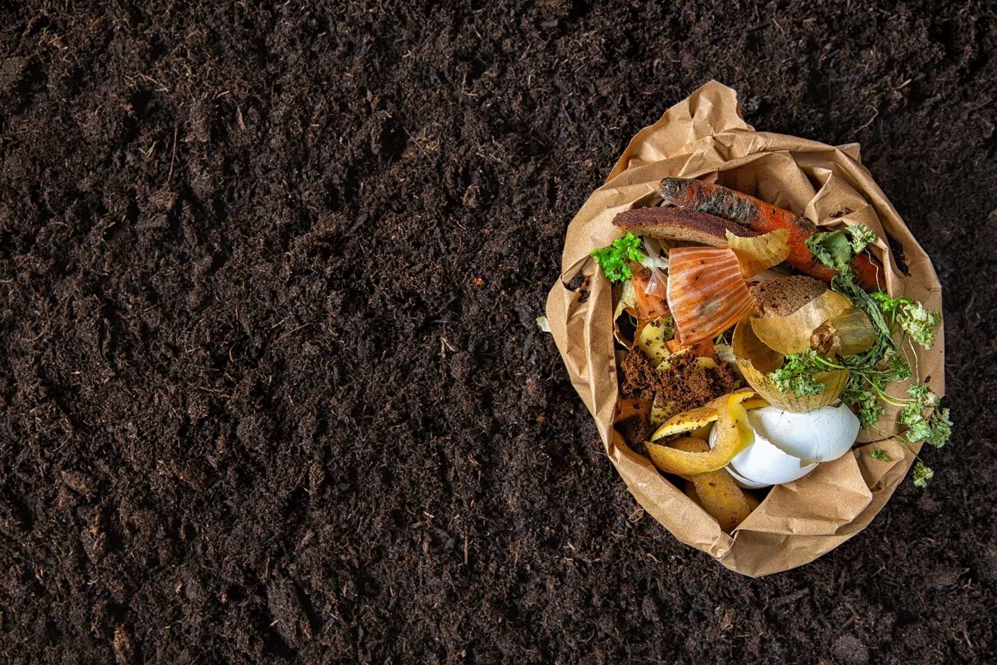 Sustainable Food Packaging & Environmental Protection