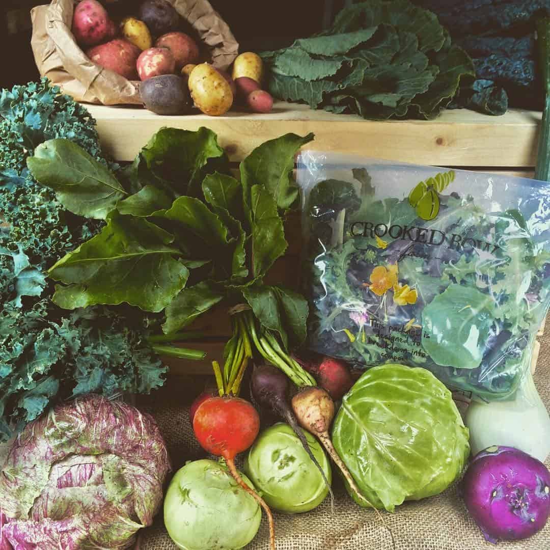 Crooked Row Farm - Biodegradable Plastic Interview | TIPA