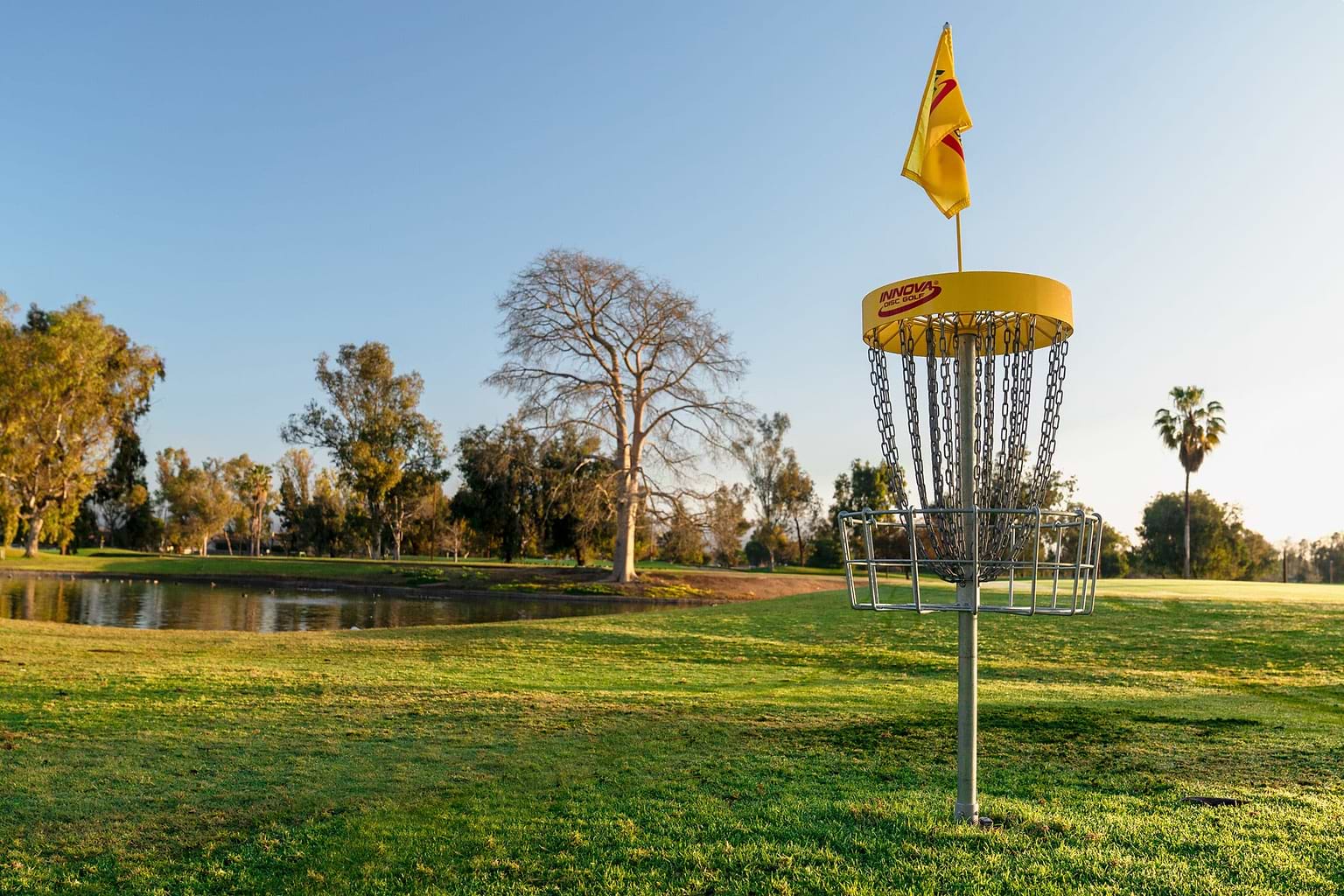 Disc Golf Guide: The Science of Flight