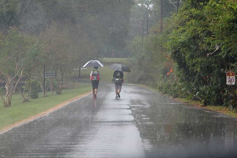 How Weather Can Affect Disc Selection