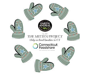 ‘Mitten Project’ helping hands raise $75K to fight hunger | Westport ...