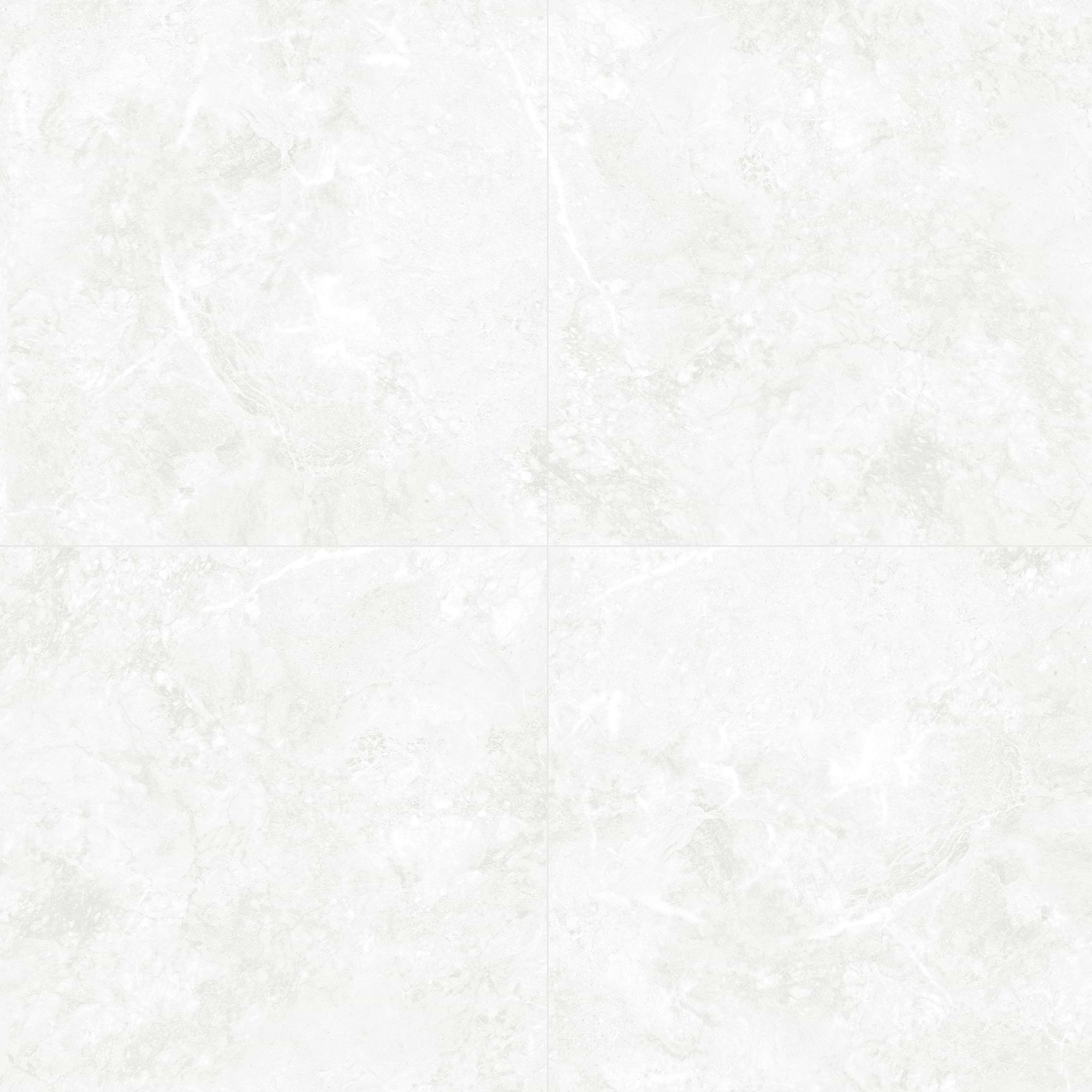 Montclaire Blanco 48x48 Matte - Sample - USA Tile & Marble
