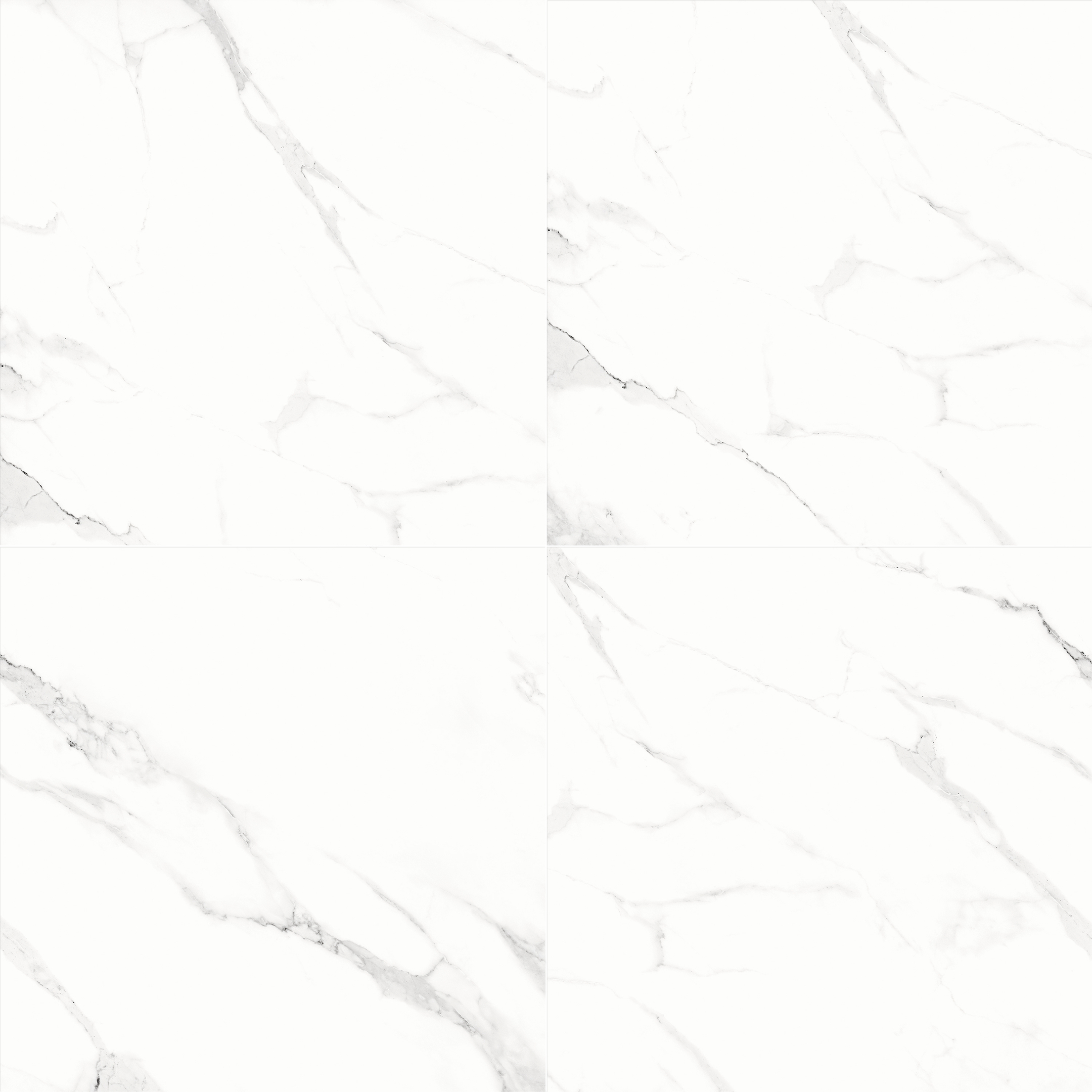 Calacatta Snow 32x32 Polished - Sample - USA Tile & Marble