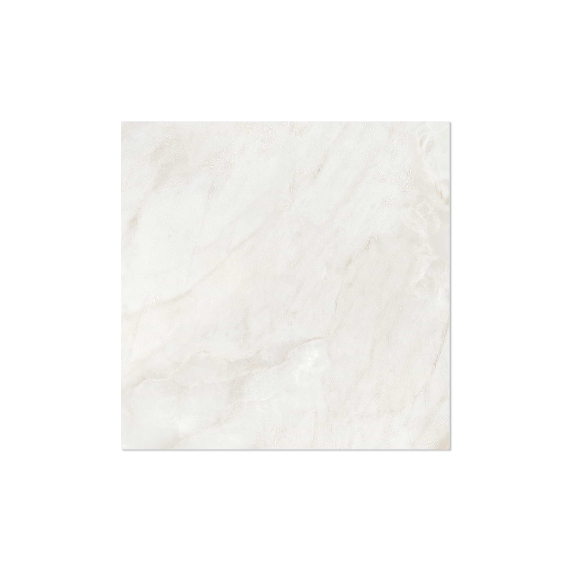SPECIAL ITEM - Palazzo Vechio Ivory 48x48 Matte Porcelain Tile - USA ...