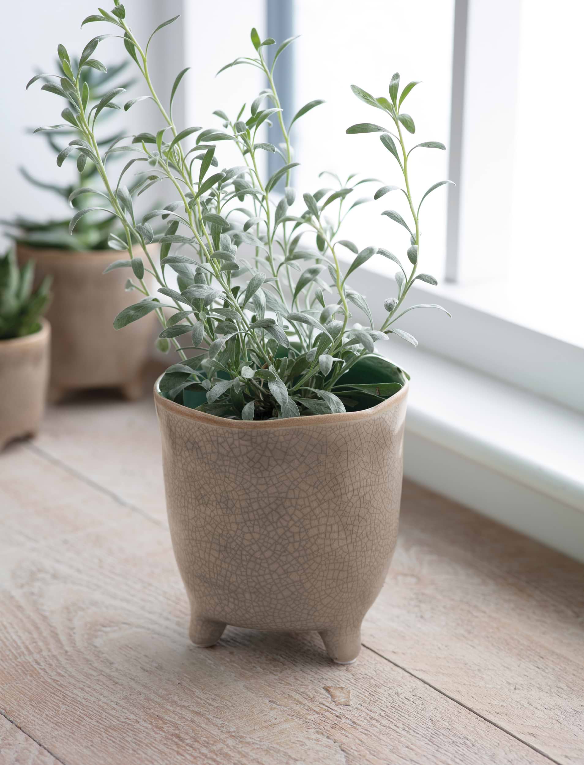 Positano Pot 13.5cm - Ceramic, Stone | Garden Trading