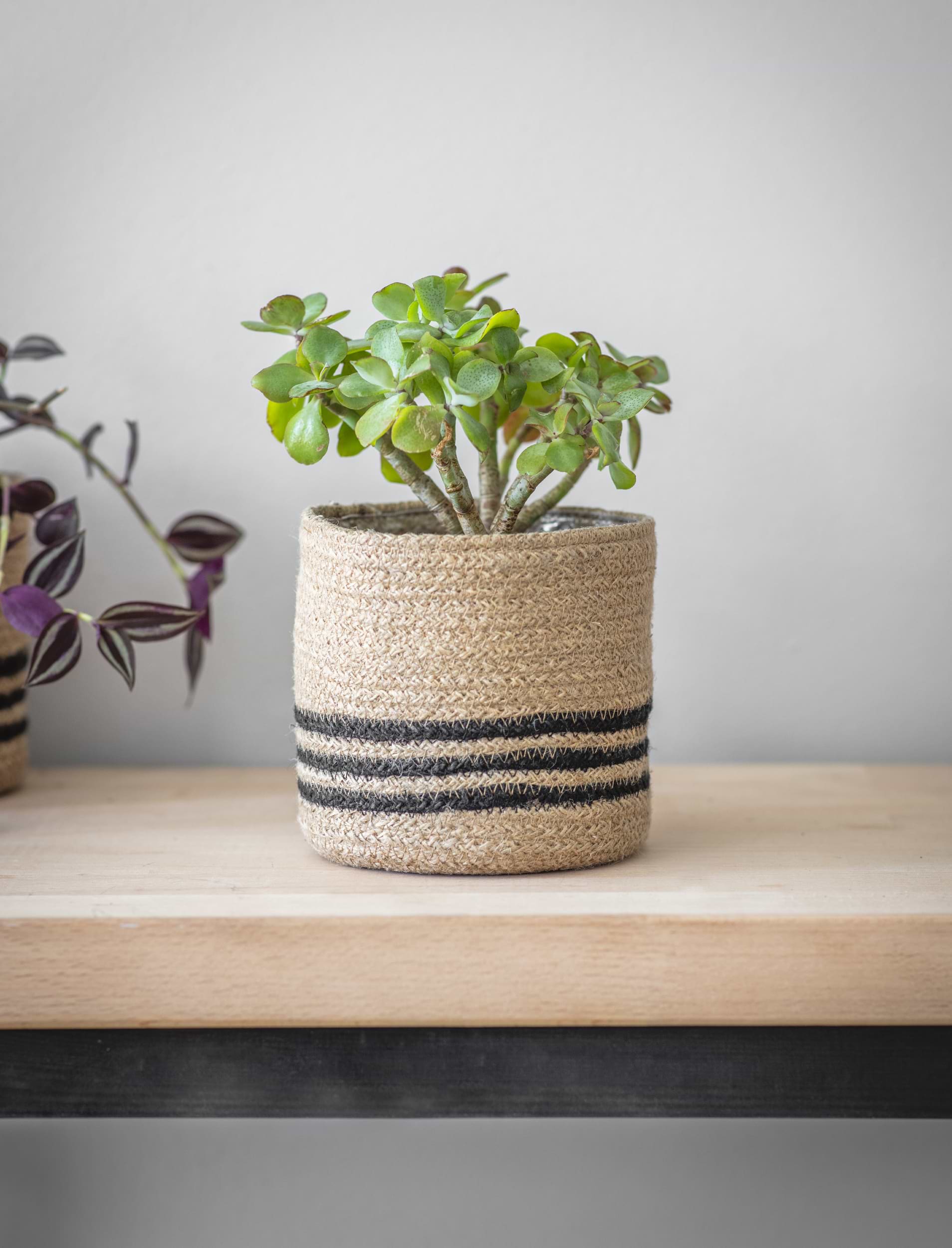 Jute Striped Pot 12.5cm - Black & Natural | Garden Trading
