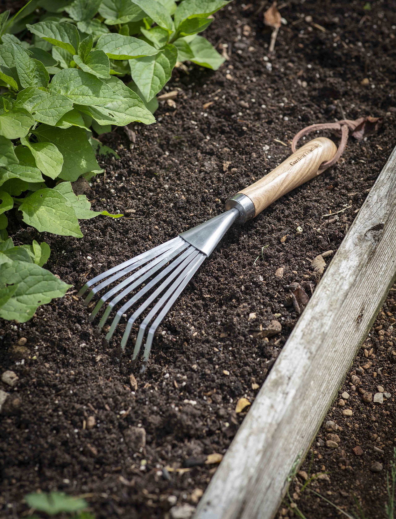 Hawkesbury Hand Rake | Garden Trading