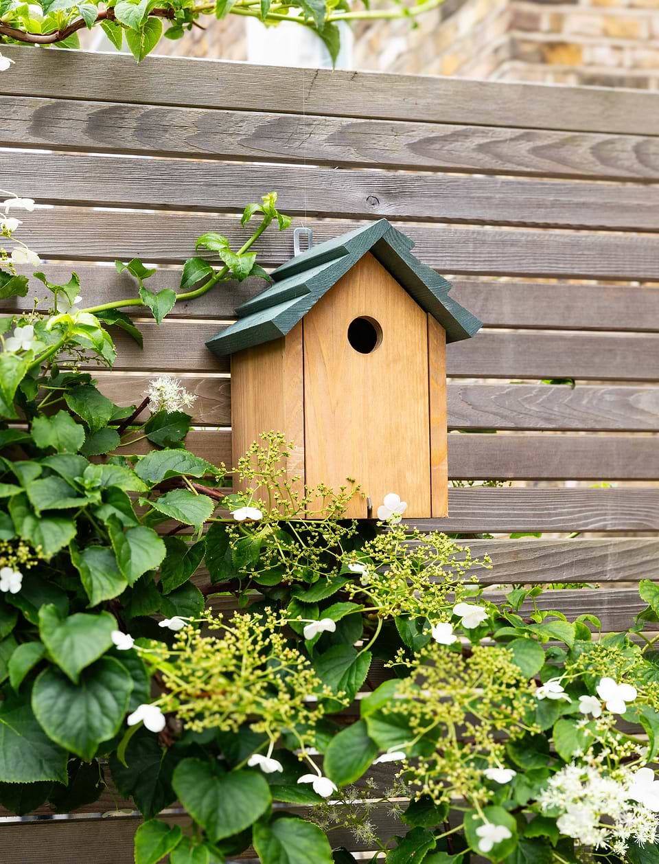 Littleworth Bird House Green - Pine Wood, Olive