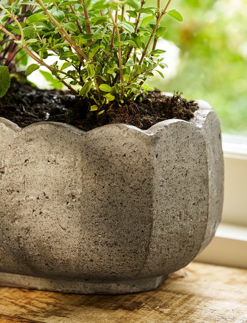 Lidstone Scallop Plant Pot Oval Grey | Garden Trading