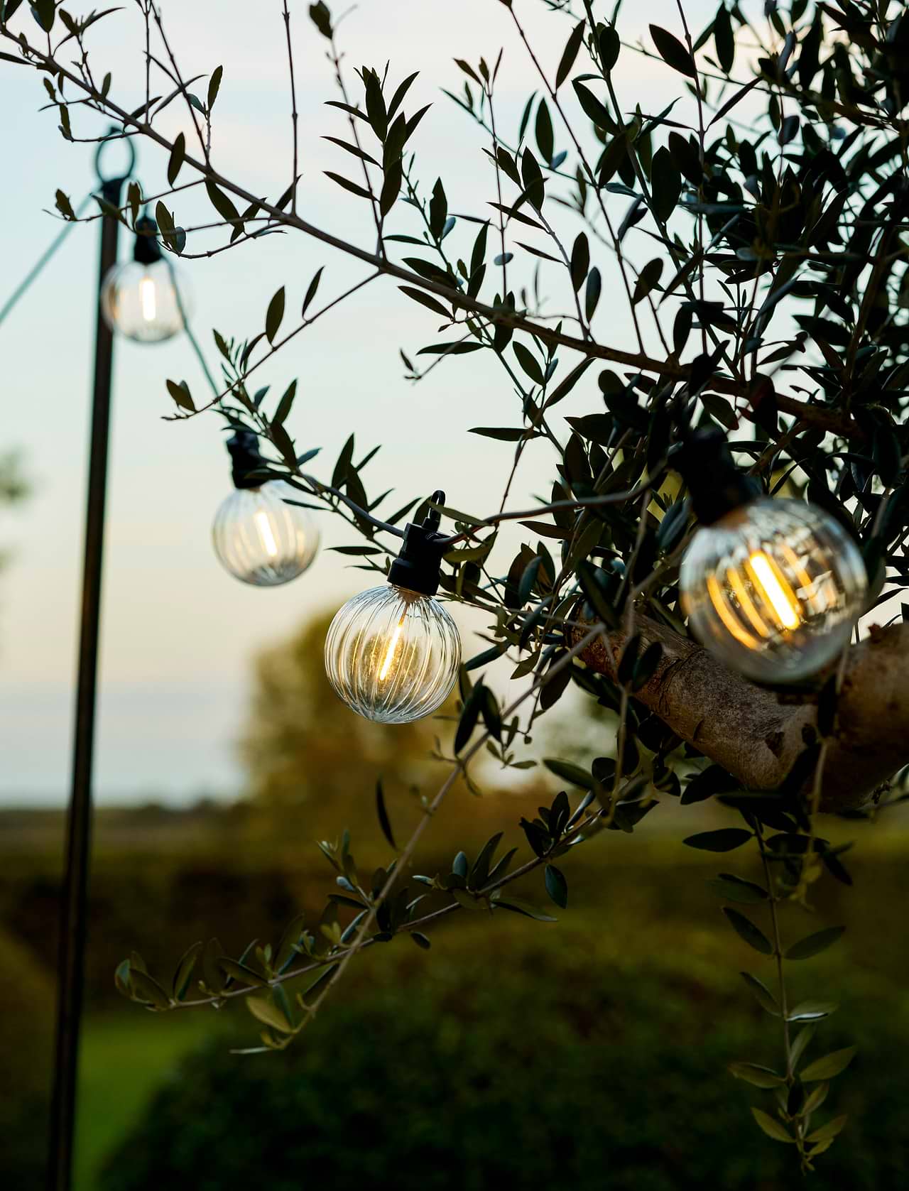 Festoon Ribbed Round Lights 20 Bulbs Black | Garden Trading