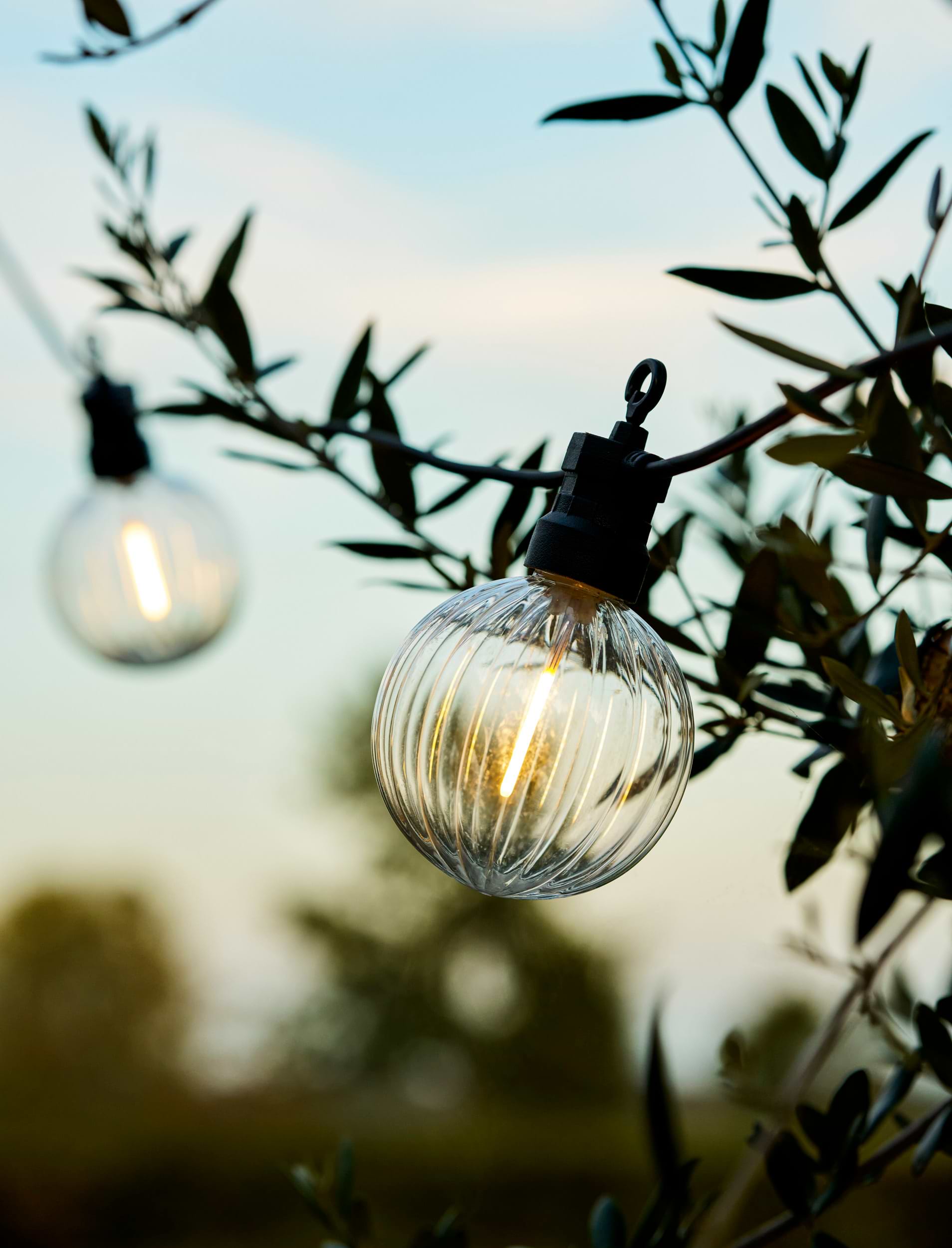 Festoon Ribbed Round Lights 20 Bulbs Black | Garden Trading
