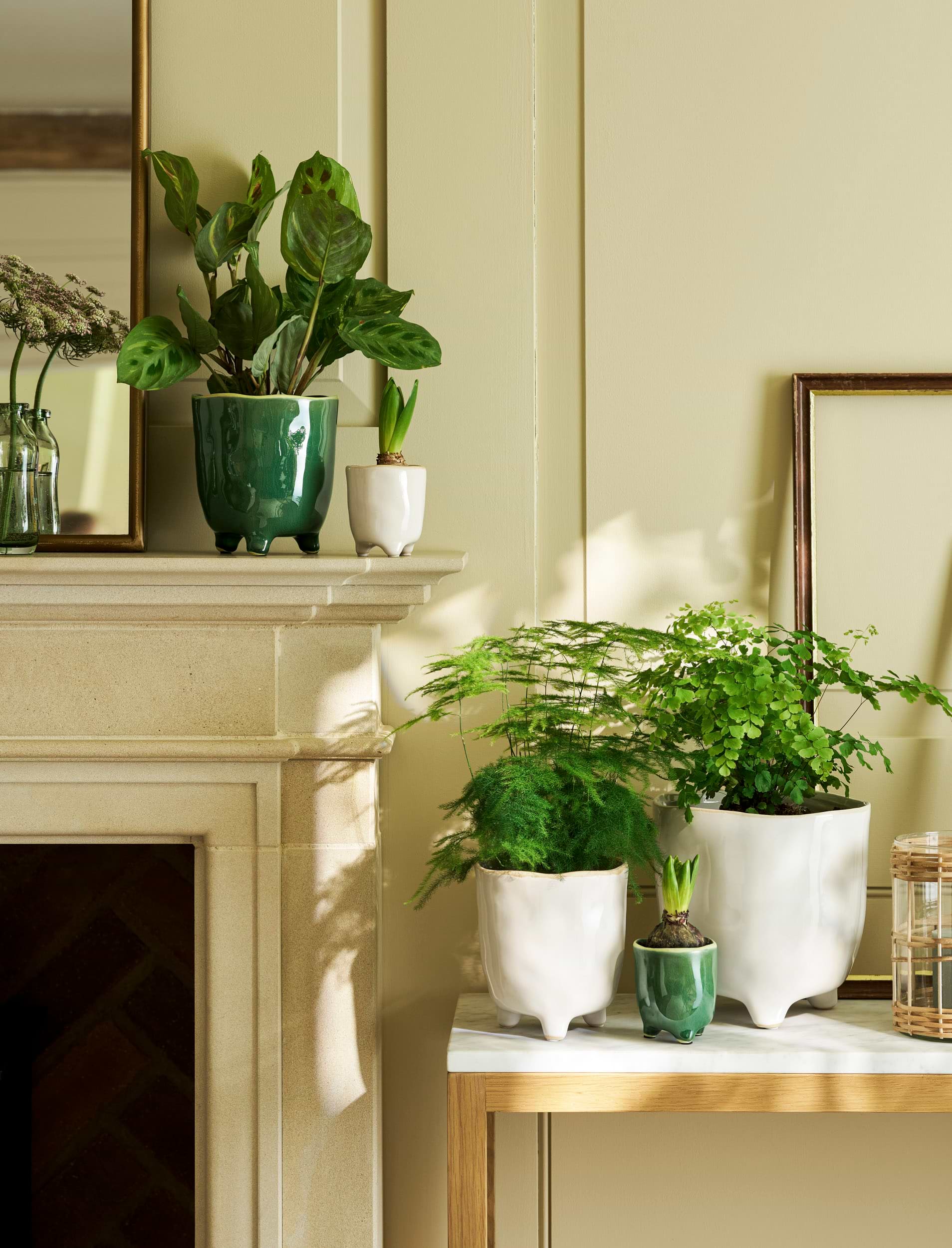 Positano Pot 7.2cm - Ceramic, Forest Green | Garden Trading