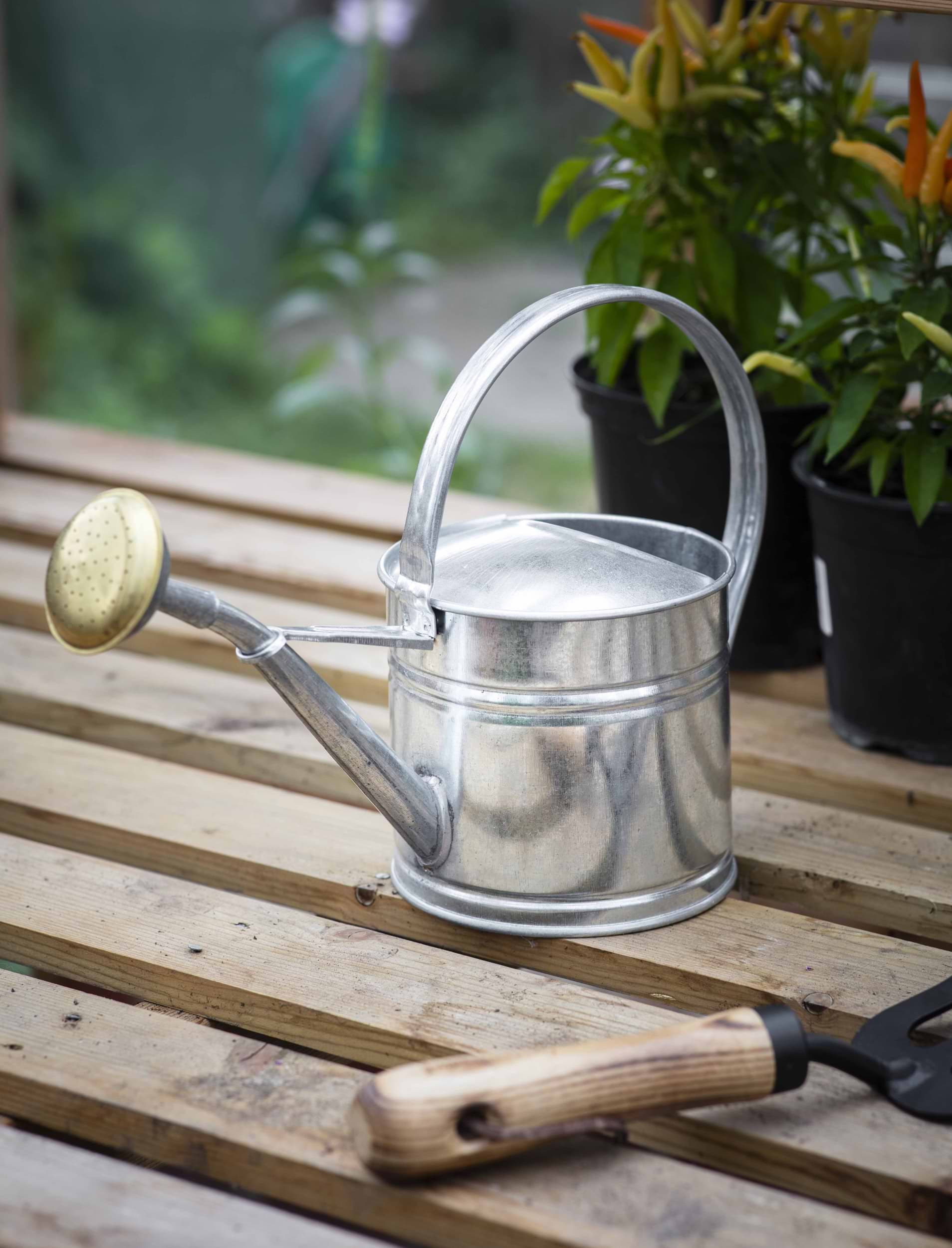 Classic Watering Can 1.5L - Galvanised Steel, Silver