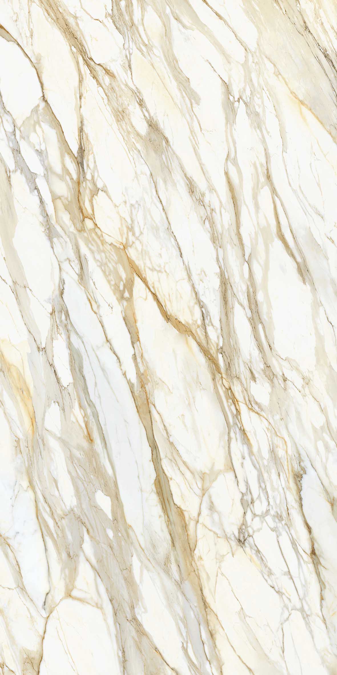 Calacatta Borghini Polished Porcelain Slab - Porcetops