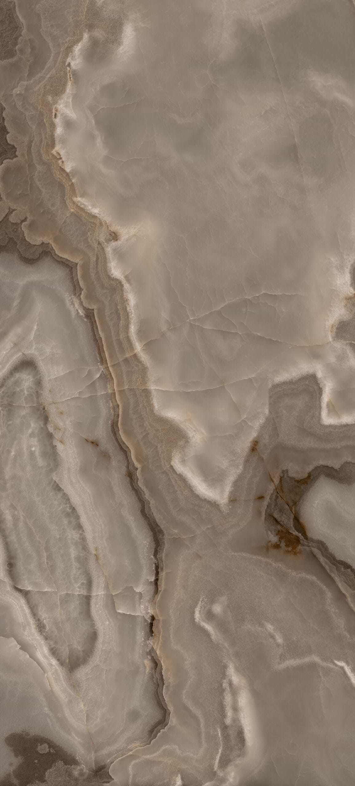 Reves de Rex Choco Polished Porcelain Slab - Porcetops