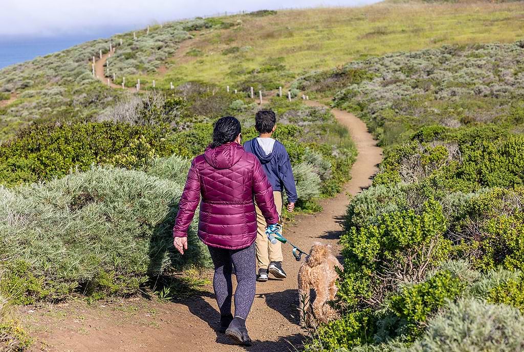 Discover the Top Dog-Friendly Hiking Trails in the USA — Crockett Doodles