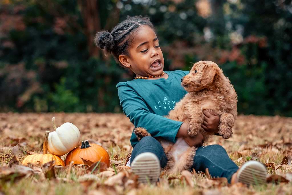 Goldendoodle Social Media Trend in 2026: Why Going Viral?