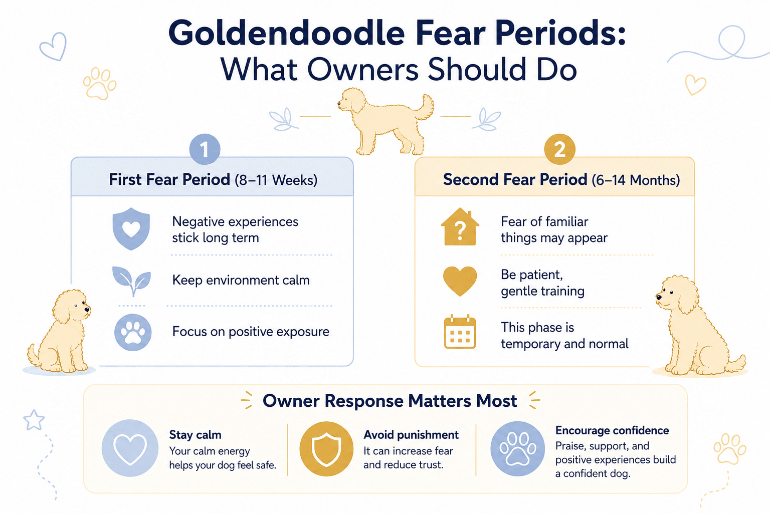 Secondary Fear Period Dogs